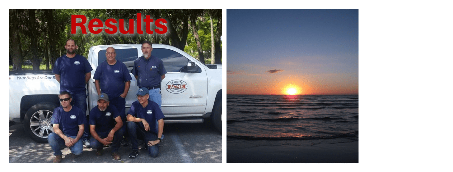 ACME Termite & Pest Control | Serving Bradenton & Sarasota
